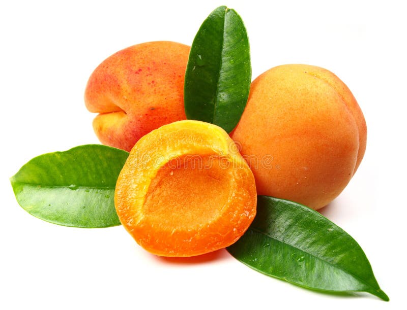 Getrocknete Aprikosen stockbild. Bild von gesund, bild - 14861083