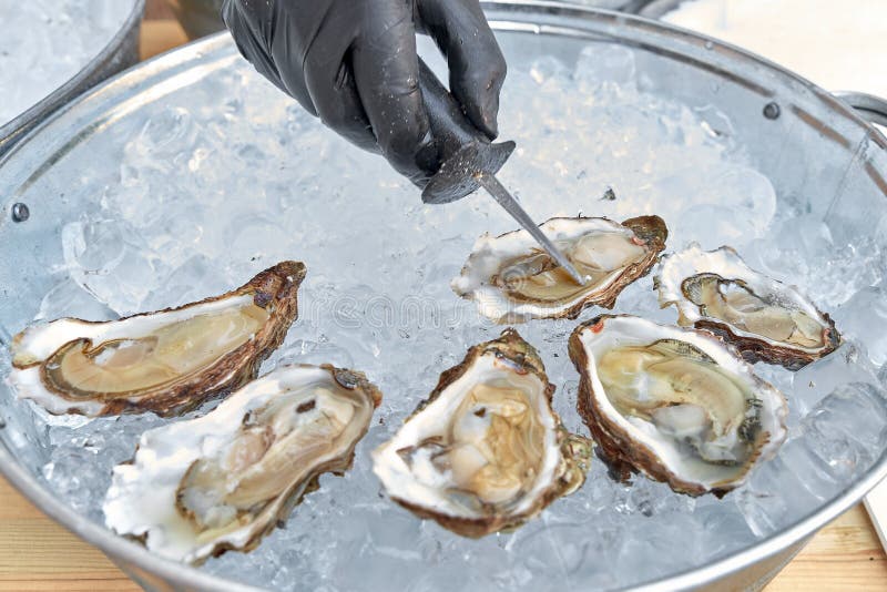 Frische Auster Hielt Offen Mit Einem Austernmesser in Einer Hand Mit ...