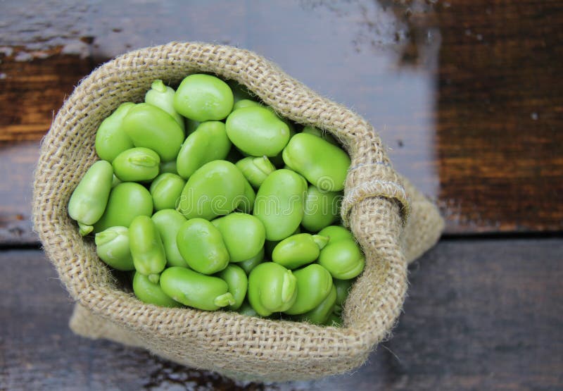 Frische Bohnen stockbild. Bild von hintergrund, bohnen - 42170697