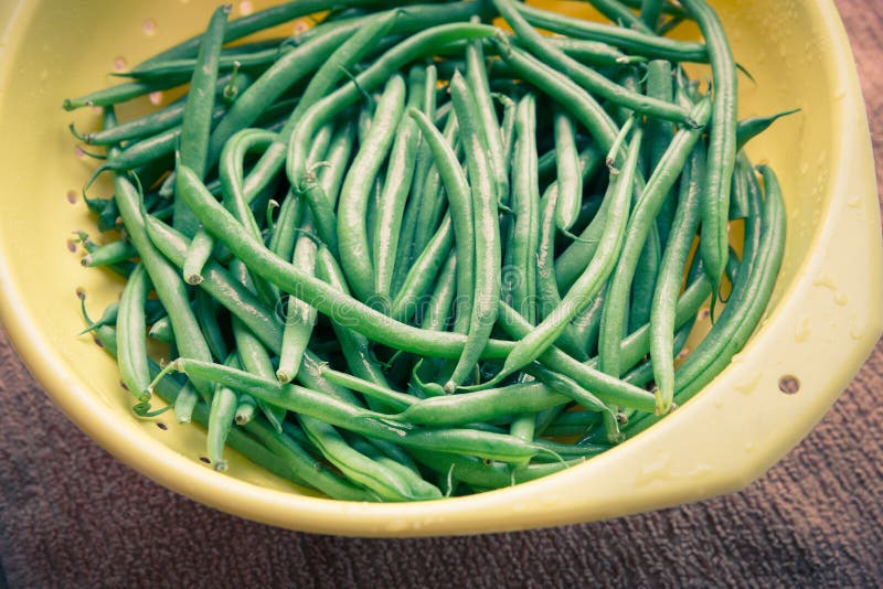 Frische Bohnen stockbild. Bild von bestandteile, land - 42781699