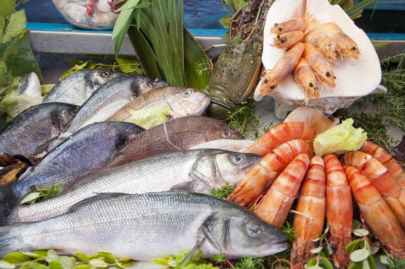 Fische, Lachse Und Heilbutt Der Essbaren Meerestiere Arrangement ...