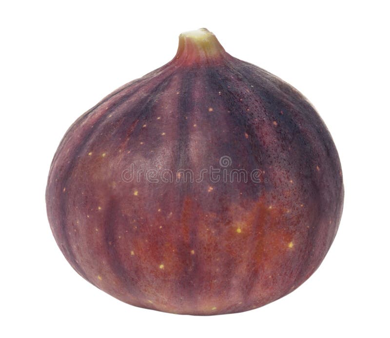 Frische Feige stockbild. Bild von purpurrot, erzeugnis - 11067847