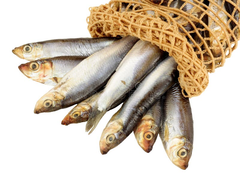 Sprotten Der Frischen Fische Stockfoto - Bild von diät, glänzend: 50778816