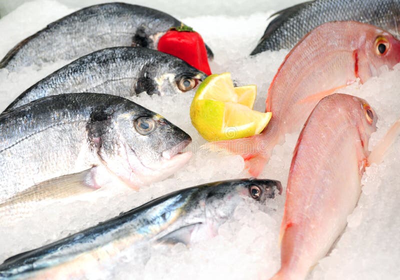 Frische Essbare Meerestiere Stockbild - Bild von gesund, schalentiere ...