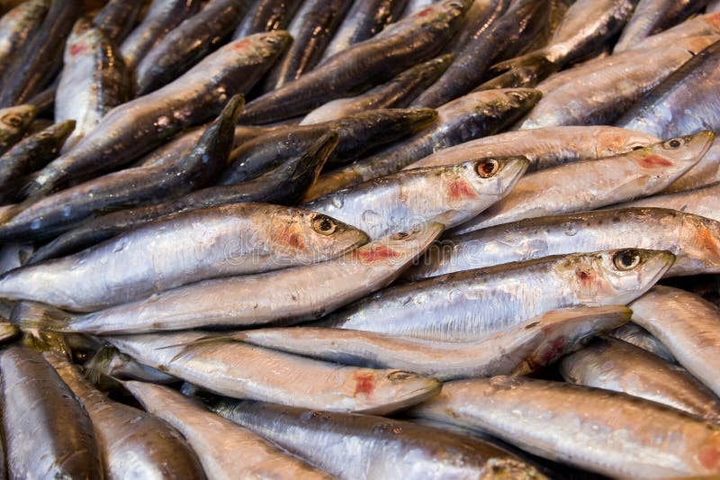 Frische Fische am Markt stockfoto. Bild von seafood, markt - 13565470