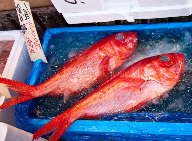 Essbare Meerestiere Der Frischen Fische Der Sardine Auf Eisseemarkt ...