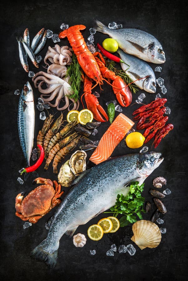 Frische Fische Und Essbare Meerestiere Stockbild - Bild von muscheln ...