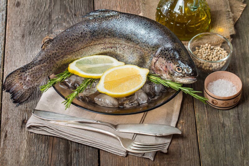 Frische Forelle stockfoto. Bild von feinschmecker, schmieröl - 65617970