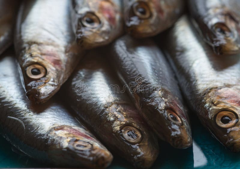 Frische Geschmackvolle Rohe Sprotten Auf Servierteller Stockbild - Bild ...