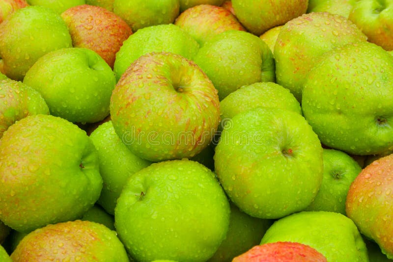 Frische grüne Äpfel stockbild. Bild von nahrung, smith - 7242207