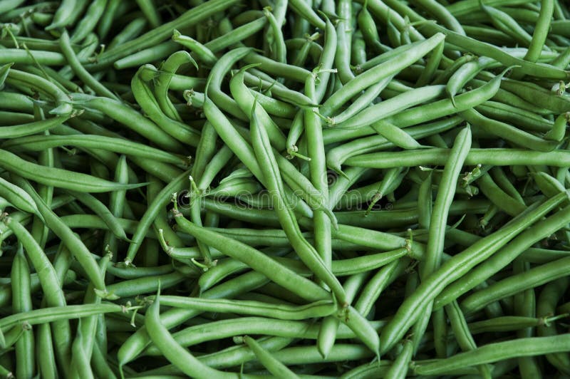 Frische grüne Bohnen stockfoto. Bild von bohnen, frische - 699932