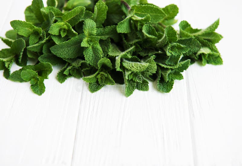 Frische Minze In Einem Vase Stockbild - Bild von nave, hintergrund ...