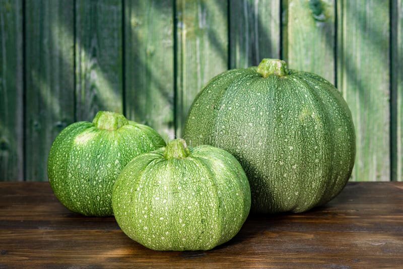 Runde Zucchini stockfoto. Bild von frisch, nährstoff - 24323060