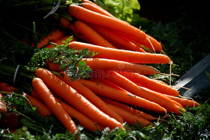 Bunte Karotten stockfoto. Bild von farben, vegetarier - 8006578