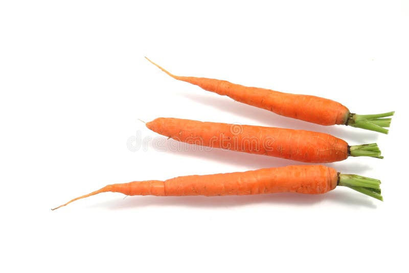 Frische Karotten stockbild. Bild von bestandteile, frech - 2855295