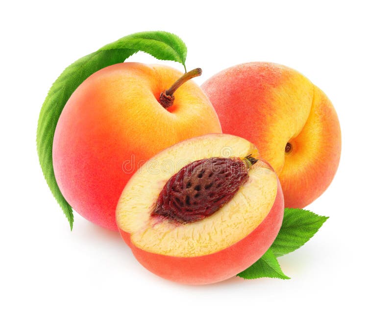Frische Pfirsiche stockbild. Bild von scheibe, blatt - 61271015