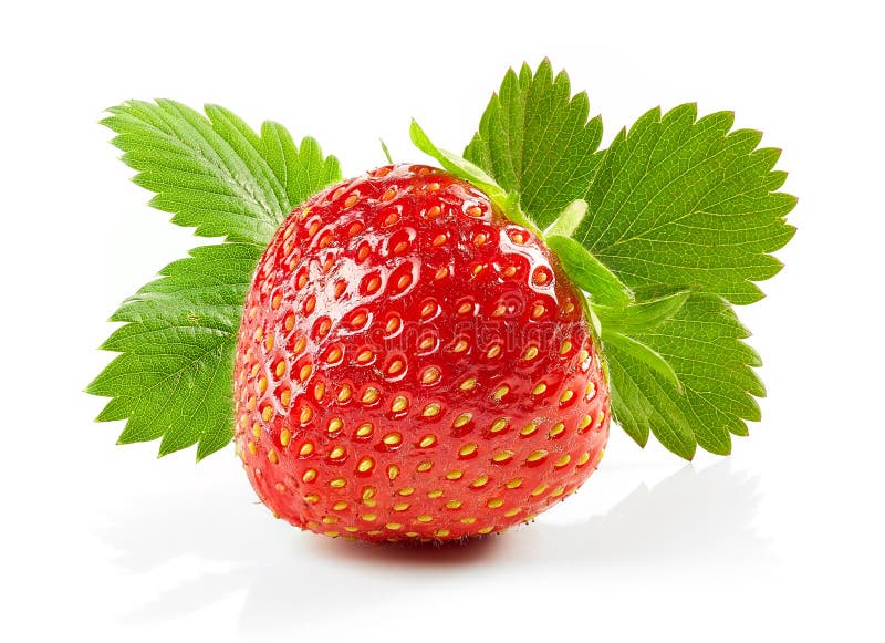 Frische rote Erdbeere stockfoto. Bild von einzeln, frech - 119182170