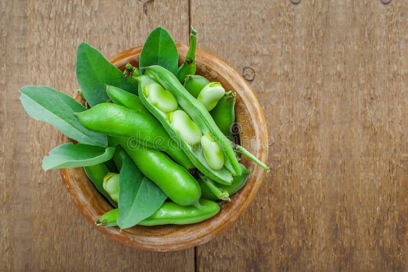 Frische Saubohnen stockfoto. Bild von nahrung, hülsenfrucht - 77683298