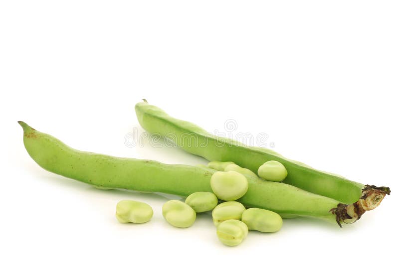 Frische Saubohnen stockbild. Bild von bündel, grün, nahrung - 30246399