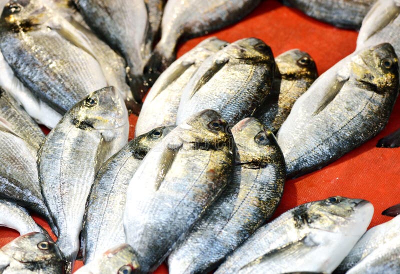 Frischer Seefisch stockfoto. Bild von brachsen, system - 32245270