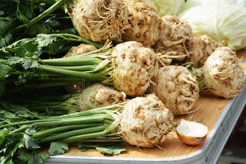 Frischer Sellerie Mit Wurzel Stockfoto - Bild von wurzel, sellerie ...