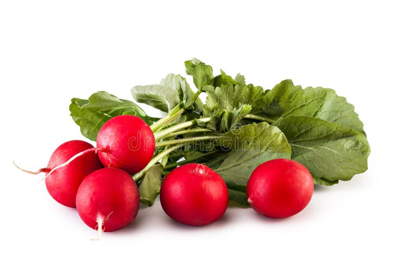 Roter Rettich stockbild. Bild von nähren, frische, saisonal - 51983039