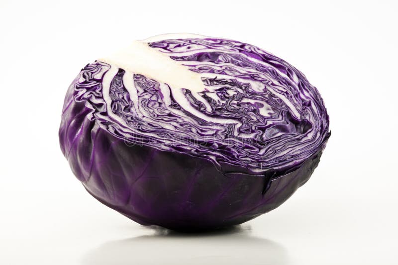 Frischer Rotkohl stockfoto. Bild von farbe, grün, bauernhof - 19271450