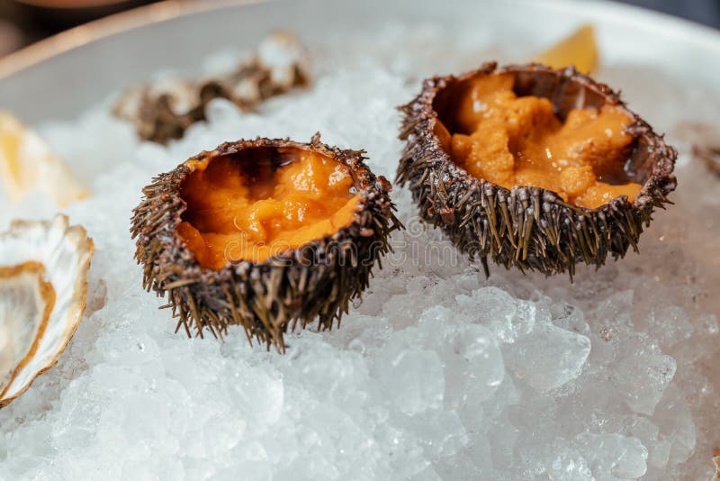 Frischer Seeigel Uni, Der Lachse Und Des Reises Japanische Rohe Nahrung ...