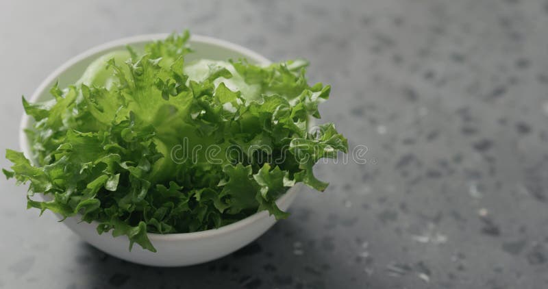 Frisee Leaves in White Bowl on Terrazzo Surface Stock Image - Image of ...