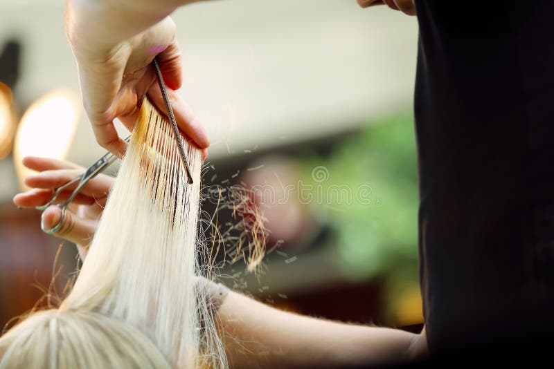 Friseur, Der Blondes Haar Mit Scheren Trimmt Stockbild - Bild von ...