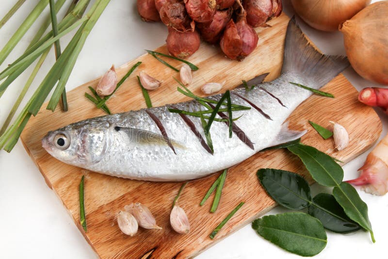 Frish cru foto de stock. Imagem de marisco, alimento - 49959686