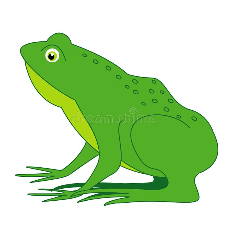 Frog Side View Stock Illustrations – 596 Frog Side View Stock ...