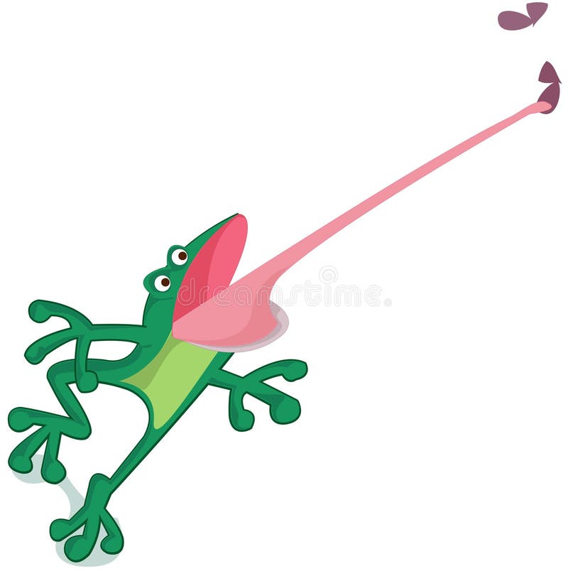 Frog fighting stock illustration. Illustration of boxing - 63411288