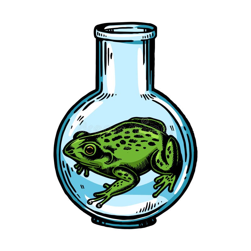 Frog Animal in Laboratory Flask Engraving Vector Stock Illustration - Illustration of green ...