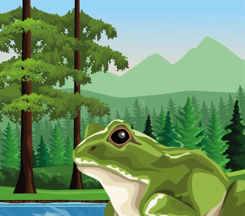 Frog Animal in the Landscape Scene Stock Vector - Illustration of ...