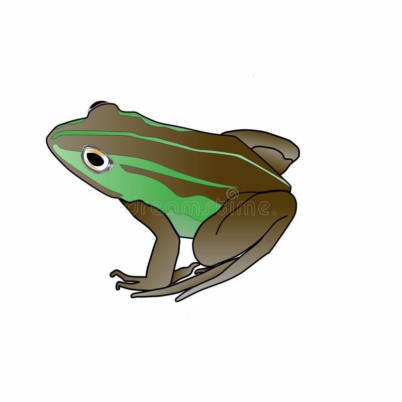 Frog Animal Pose Ready To Jump Stock Illustration - Illustration of ...