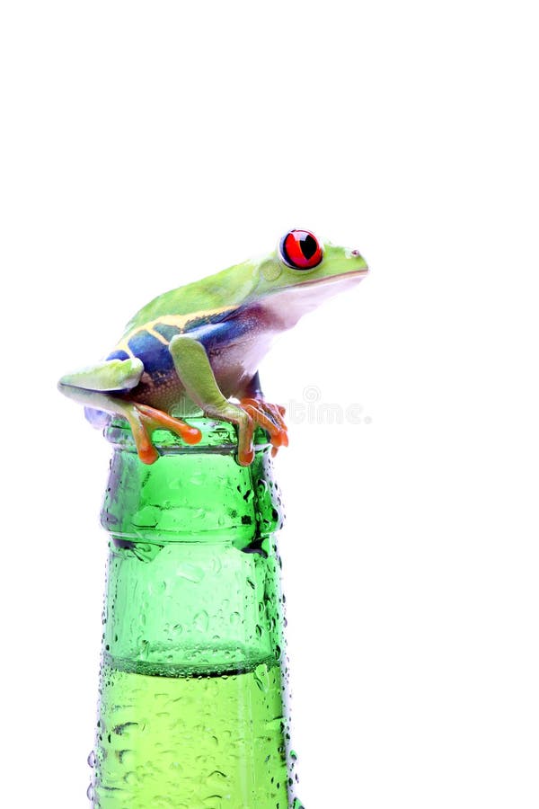 Frog on a Bottle Isolated on White Stock Image - Image of water, tree ...