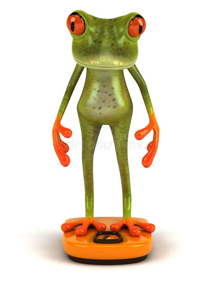 Frog boxing stock illustration. Illustration of wildlife - 11679153