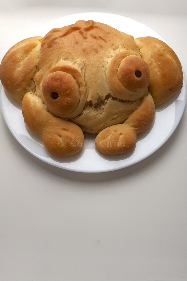 Frog bread stock image. Image of holly, natural, frog - 16651107