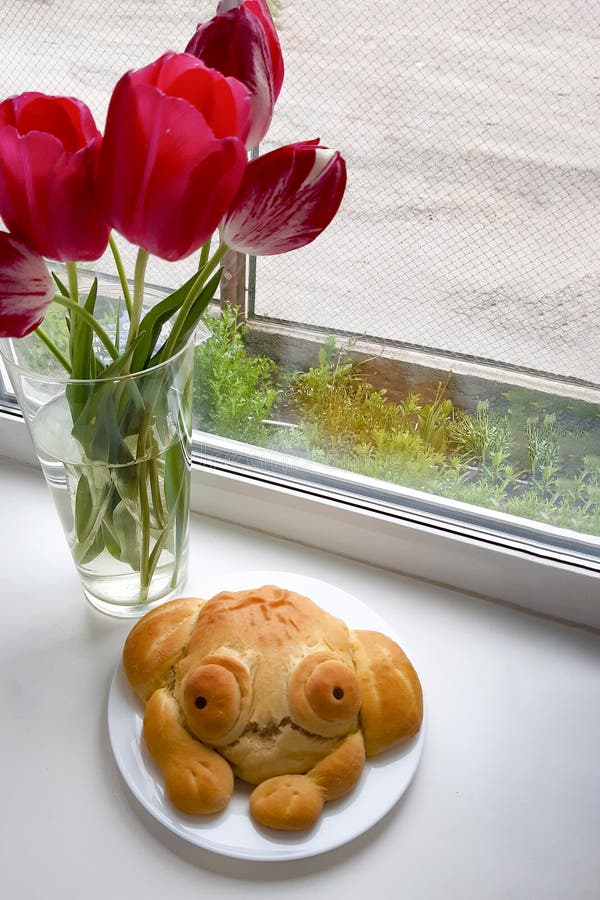 Frog bread stock image. Image of holly, natural, frog - 16651107