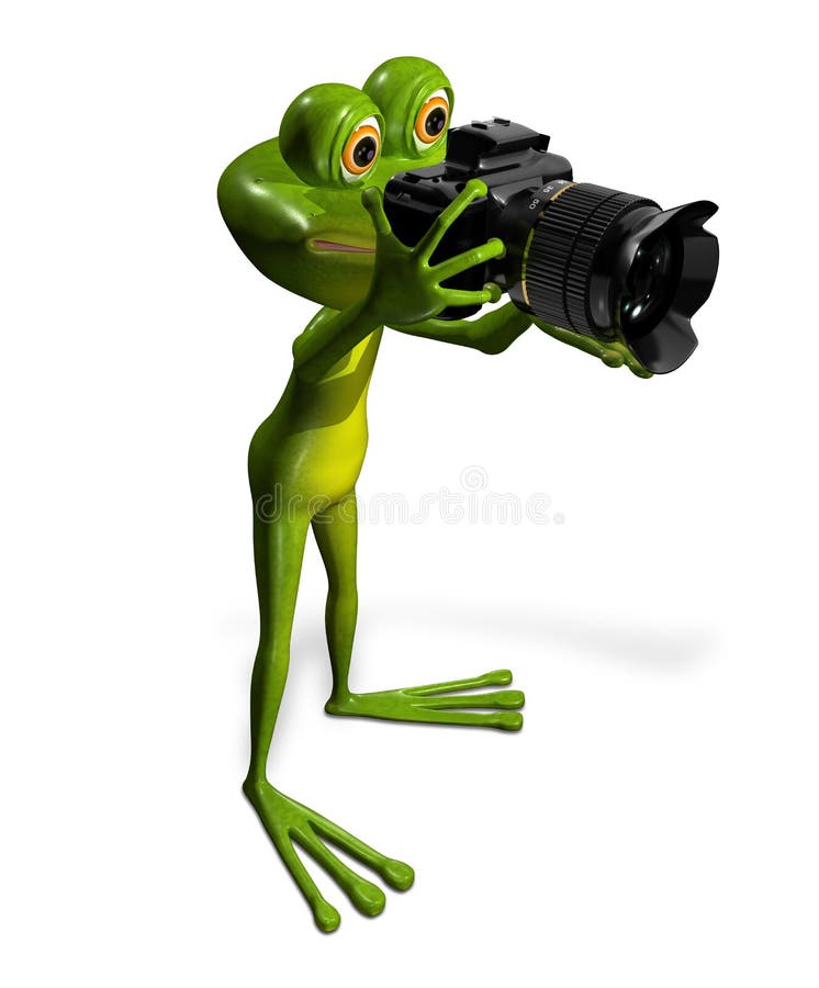 Frog with a camera stock illustration. Illustration of lens - 39687948