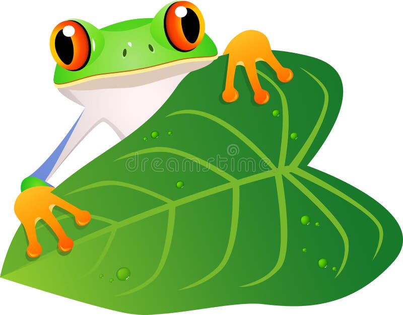 Frog cartoon stock vector. Illustration of peer, design - 22781626