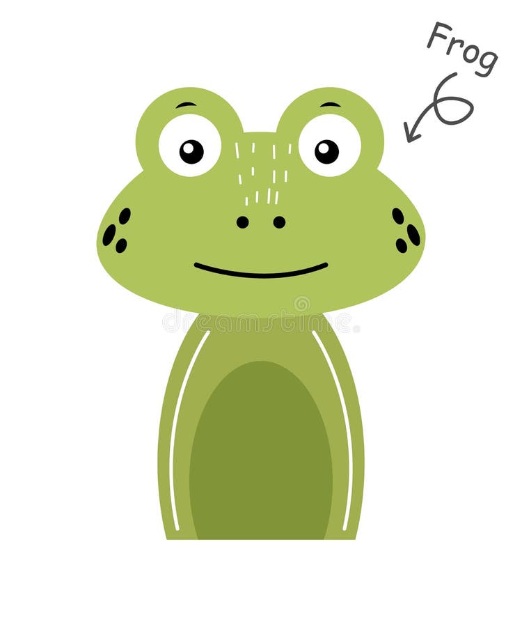 Frog . Cartoon character stock vector. Illustration of animal - 267273995