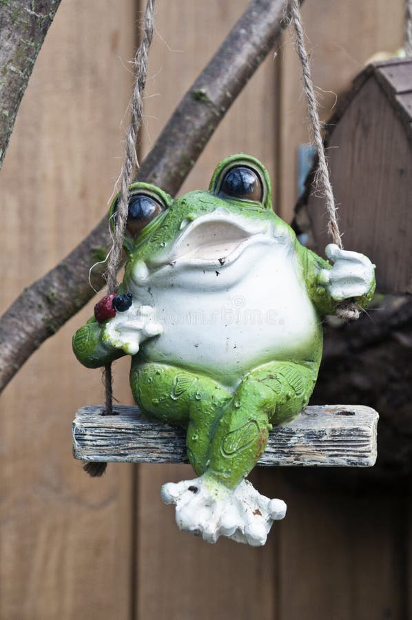 Frog stock photo. Image of defocused, luck, frog, cute - 31944298