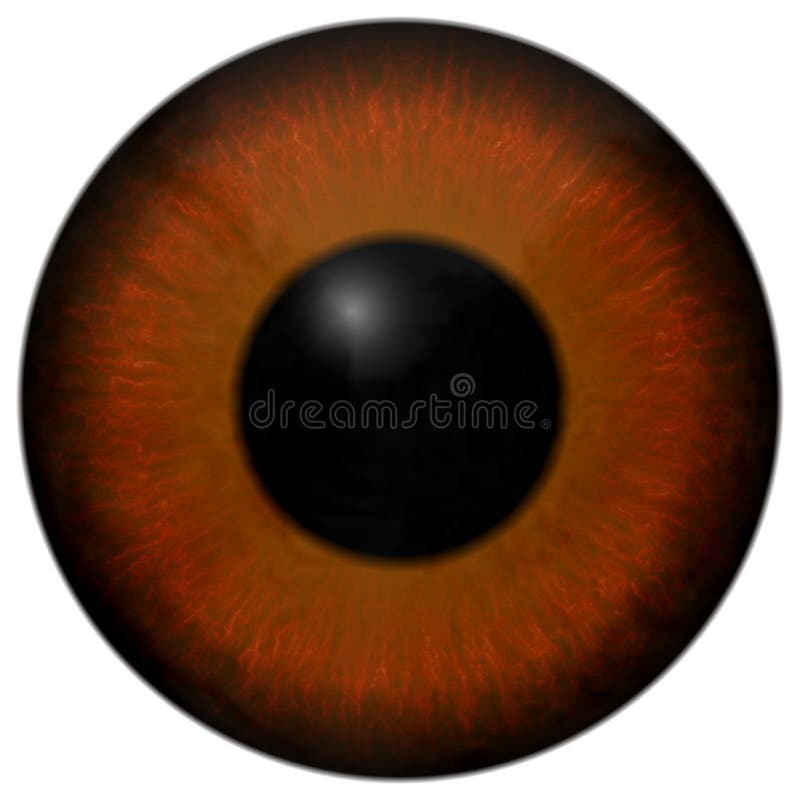 Frog Eye 3d Texture, Animal Eye Stock Illustration - Illustration of ...