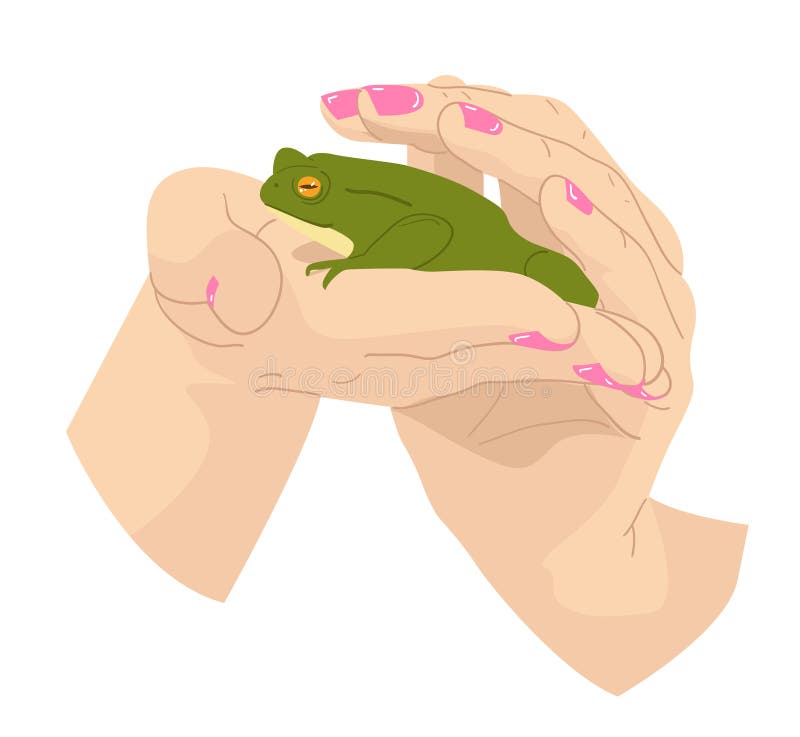 Frog in hand stock vector. Illustration of green, palm - 251651964
