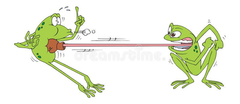 Frog fighting stock illustration. Illustration of boxing - 63411288