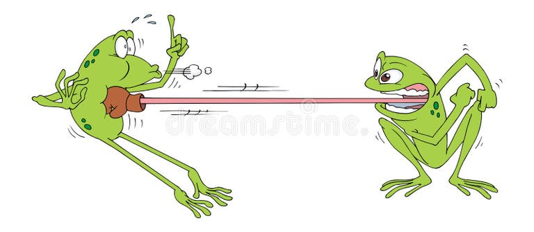 Frog fighting stock illustration. Illustration of boxing - 63411288