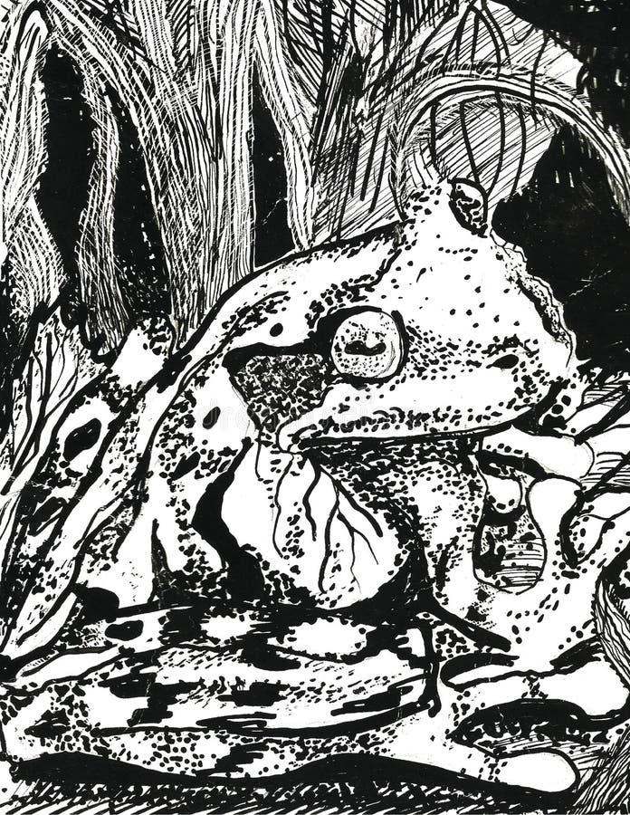 Frog in the forest. stock illustration. Illustration of handdrawn ...