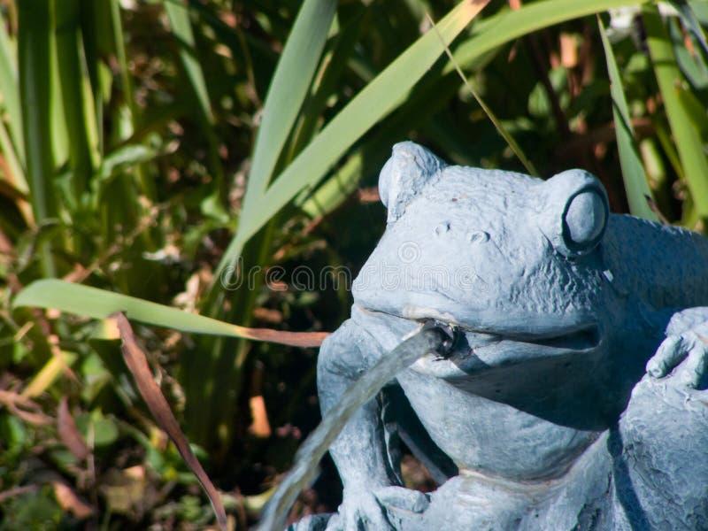 Frog Fountain stock photo. Image of lily, fountain, spew - 3216110